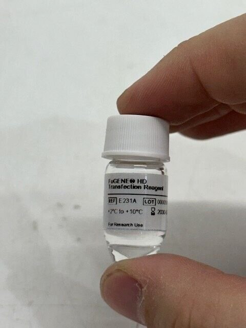 🔥🔥Promega FuGENE HD Transfection Reagent E2311 – 1ML 🔥🔥 » DeluxxDeals
